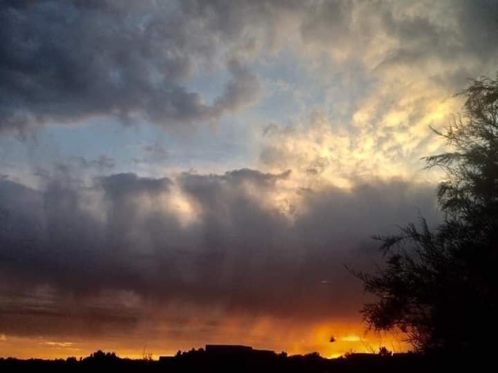 The next right thing – JUDY EMERSON Author and Personal Coach