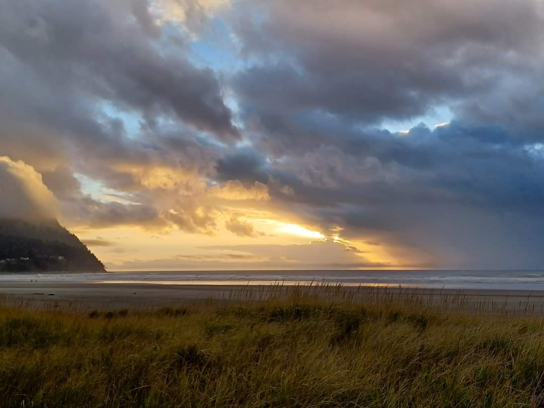 Alignment – JUDY EMERSON Author and Personal Coach