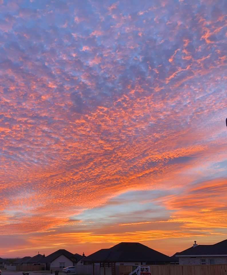 Be Here Now – JUDY EMERSON Author and Personal Coach